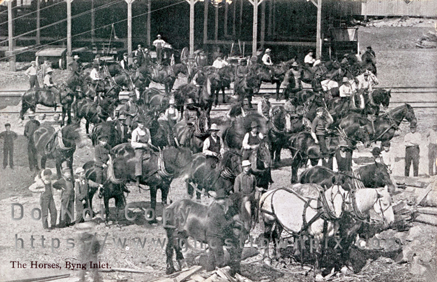 Byng Inlet Photos Historical Mill - ghosttownpix.com